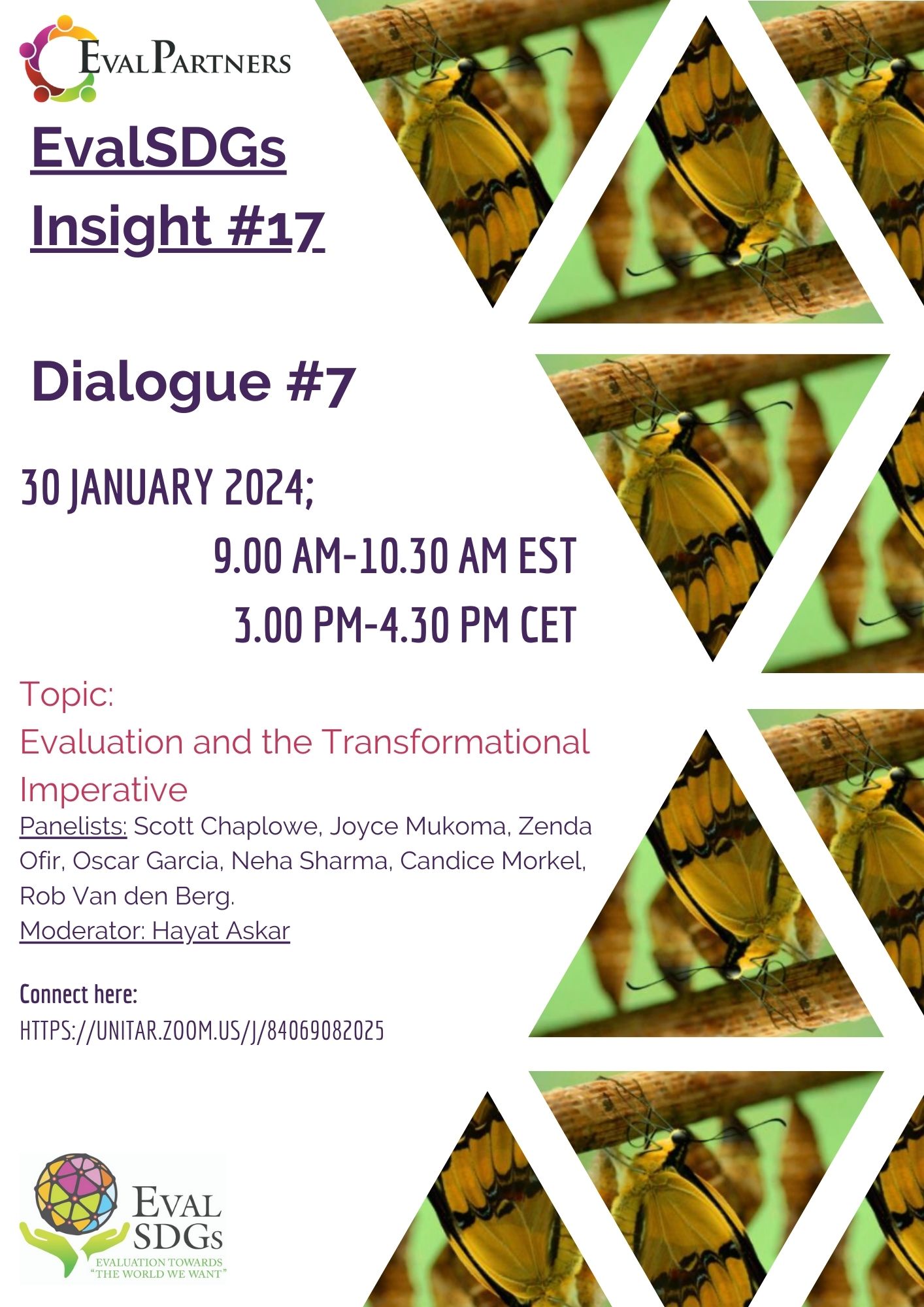 EVALSDGs Insight Dialogue #7: Evaluation and the Transformational ...